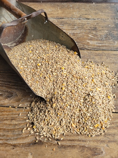 Shop | Ernst Grain B2B